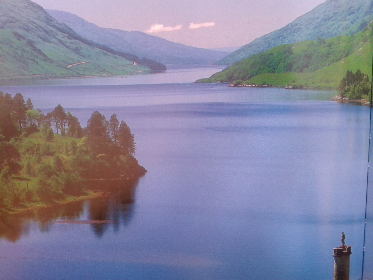 Coffee with Barb & Lizzy Lamb: Location, Location #SundayBlogShare ...