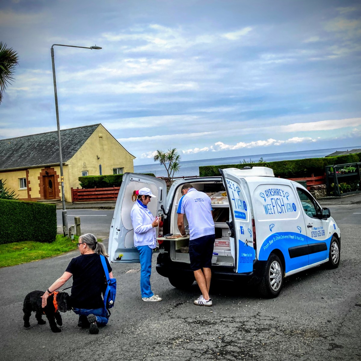 #WeeFISHVanWednesdays! Reason Number 1-bazillion to live on a wee ...